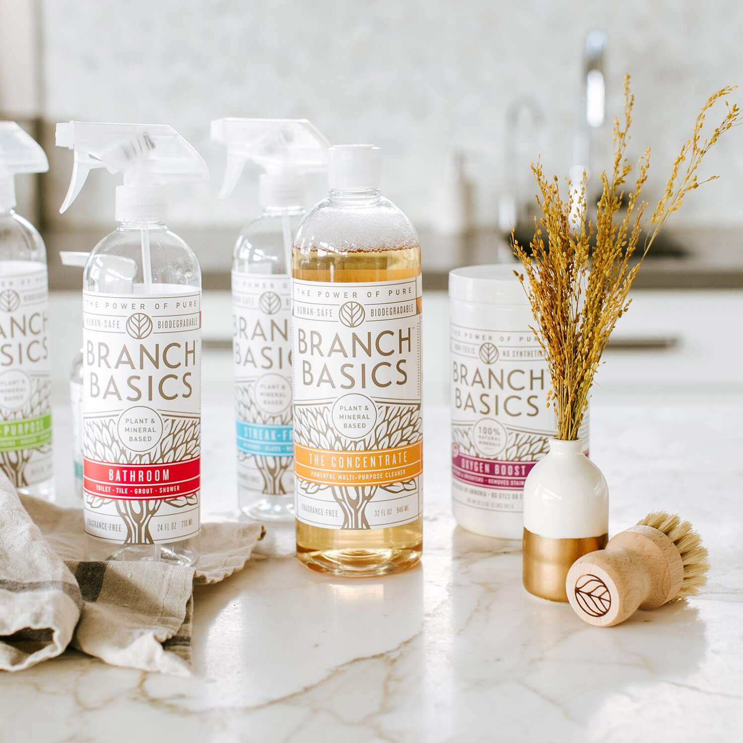 Branch Basics ~ MADE SAFE® Certified Products – MADE SAFE a program of ...