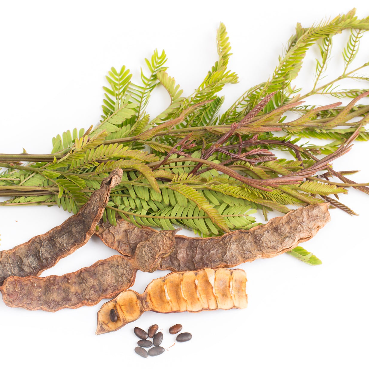 Radico / Colour Me Organic - Organic Shikakai Powder (Hairwash ...